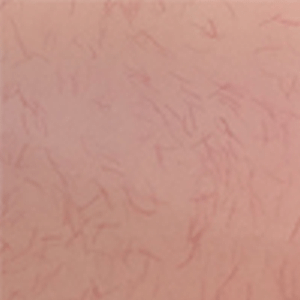 Acrylic-Color-Swatch_Dark-Fiber – Garreco™ Dental Lab Products